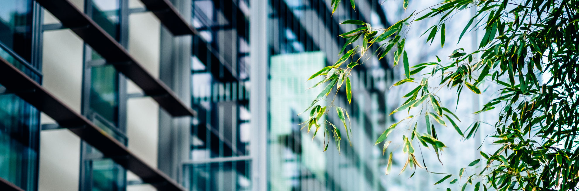 BNP Paribas Appoints Amine Bel Hadj Soulami as Head of Middle East ... BNP Paribas Appoints Amine Bel Hadj Soulami as Head of Middle East ...